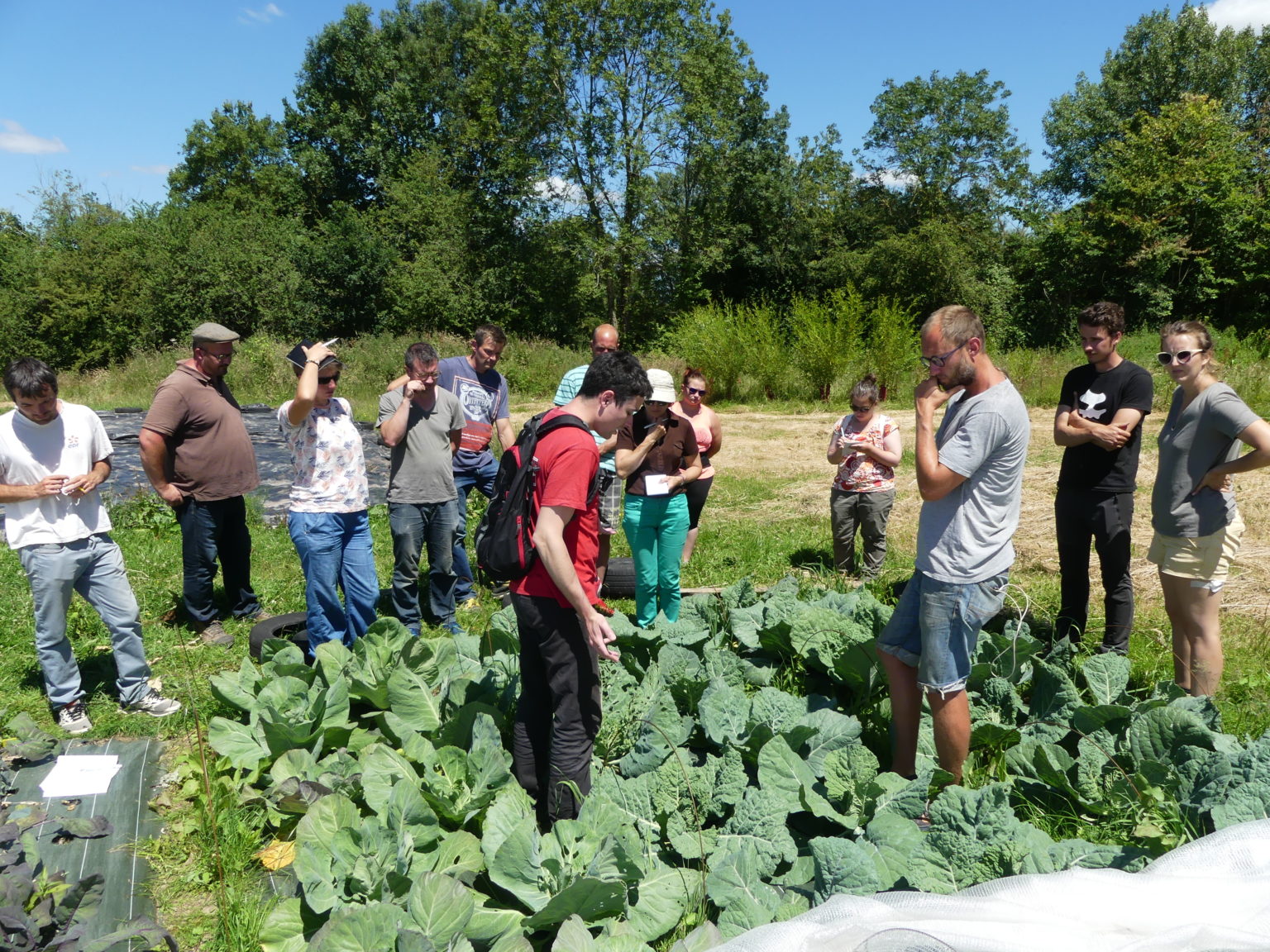 Cap sur l'installation des fermes bio en Normandie - Bio en Normandie