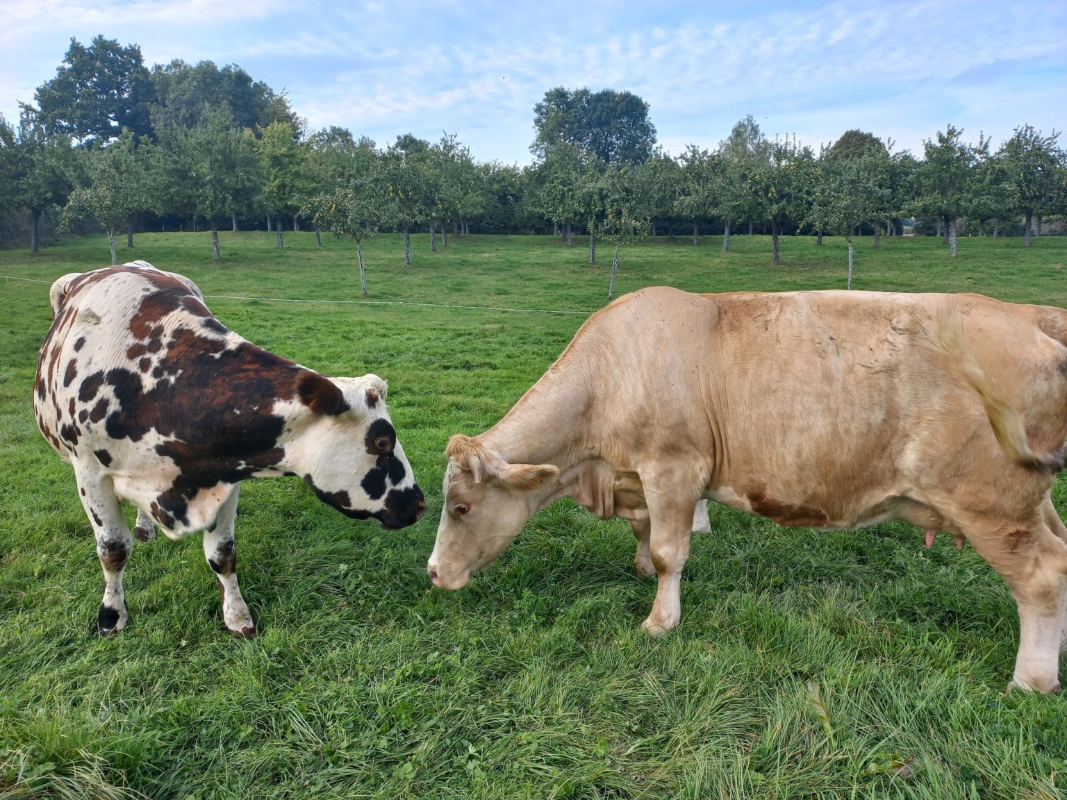 Cap sur la Transmission des fermes bio en Normandie | Le renouvellement ...